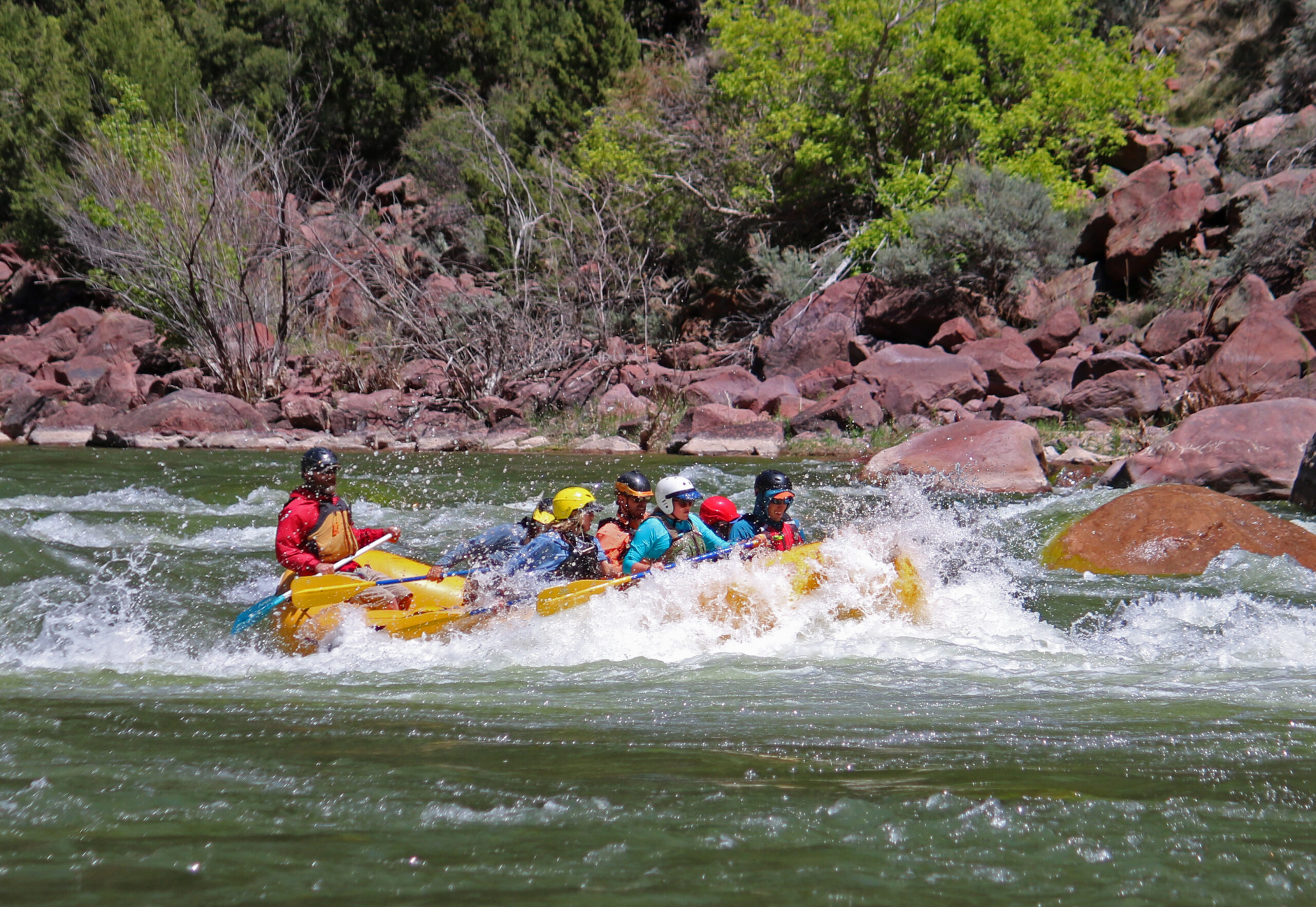 Dinosaur National Monument Rafting Guide - Sheri Griffith River Expeditions